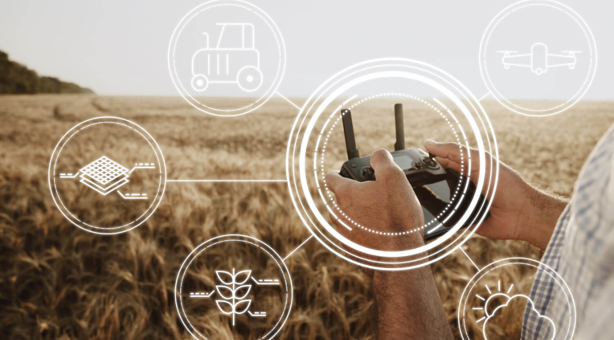 Agricultura 5.0: tecnologia e inteligência artificial no campo